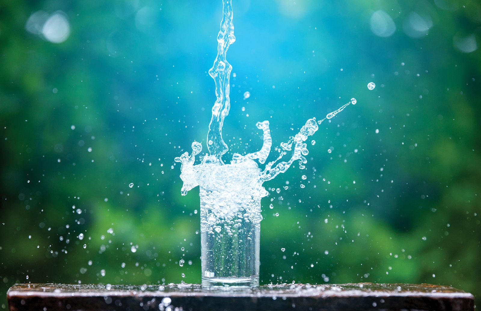 ALGUNAS CONSIDERACIONES SOBRE CÓMO USAMOS EL AGUA - Bay Vallarta